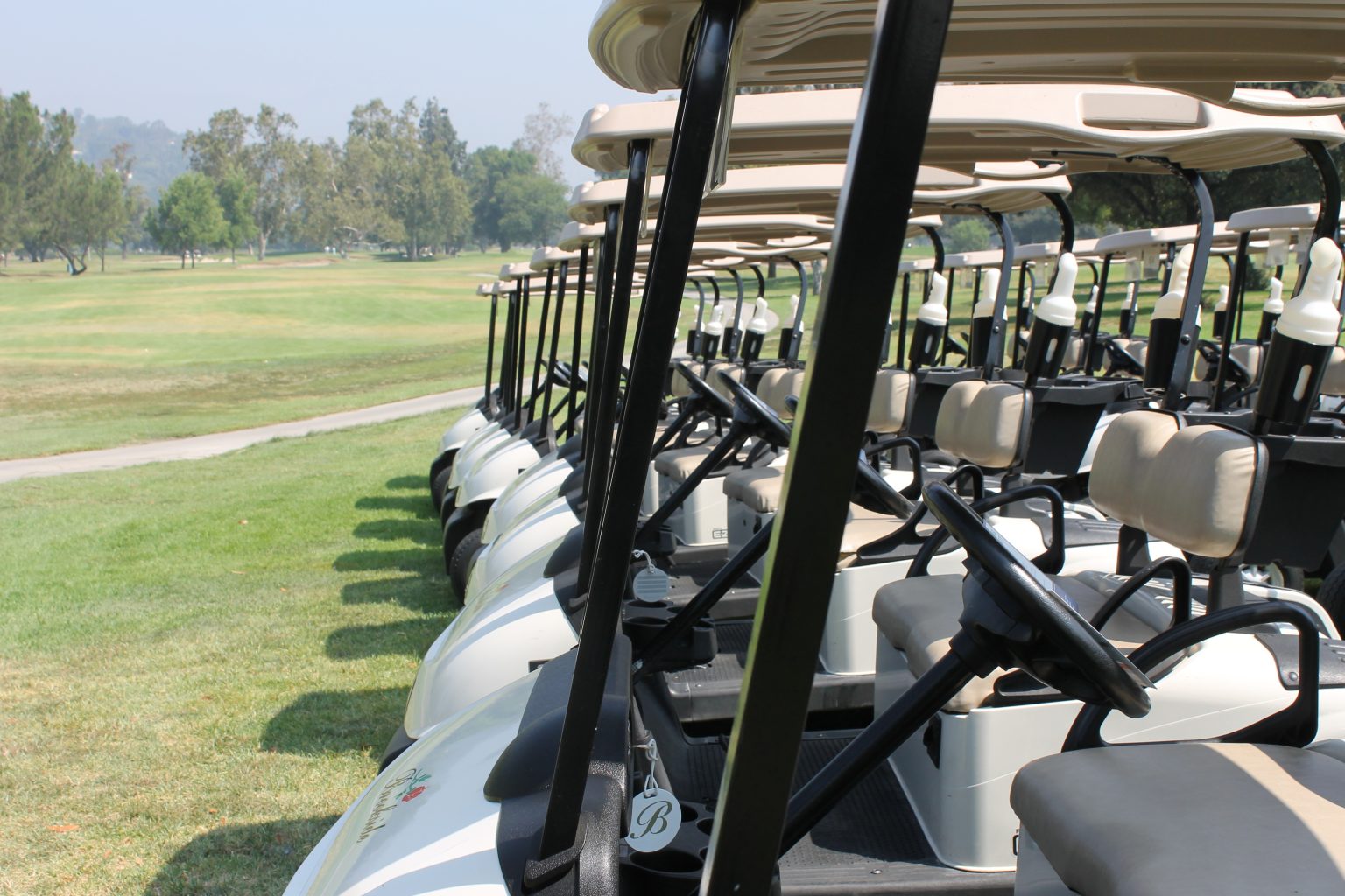 Before You Drive That Golf Cart in Berkeley County, Make Sure You’re ...