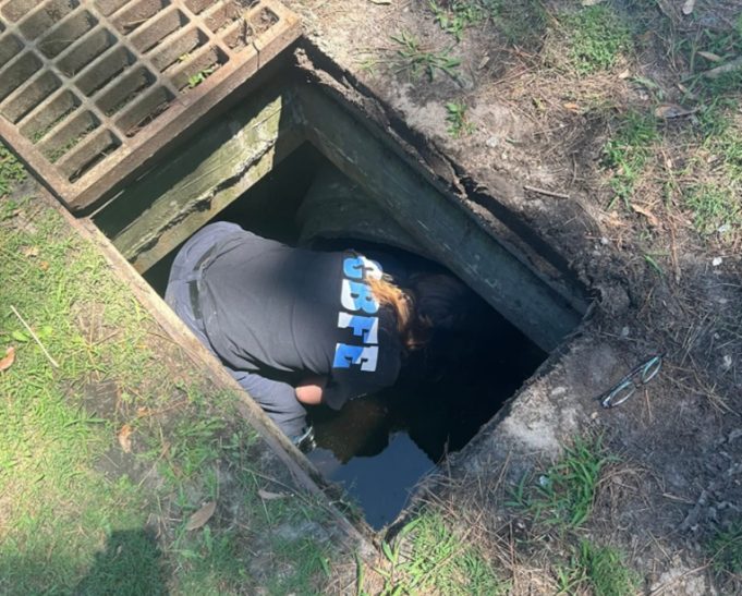 Trapped Ducklings Rescued from Storm Drain by Central Berkeley Fire ...